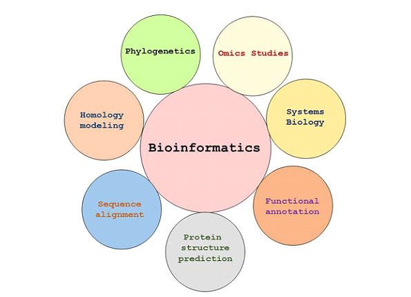 AI and Bioinformatics Future Dominance on Molecular Biology & Genetics ...